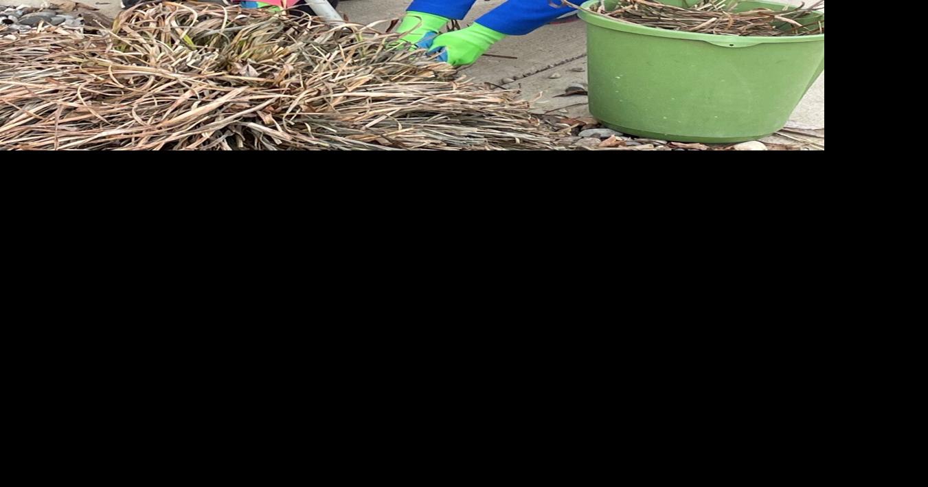 4-H teaches compassion, appreciation through community service | Club ...