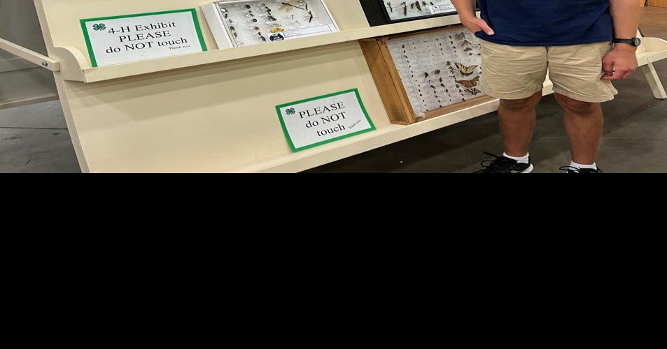 LaRue 4-H has Seven Class Champions in Cloverville | Club | pmg-ky2.com