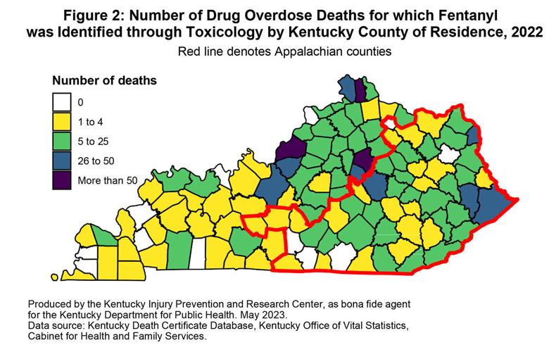 Kentucky Sees Decrease In Drug Overdose Deaths News Pmg Ky2