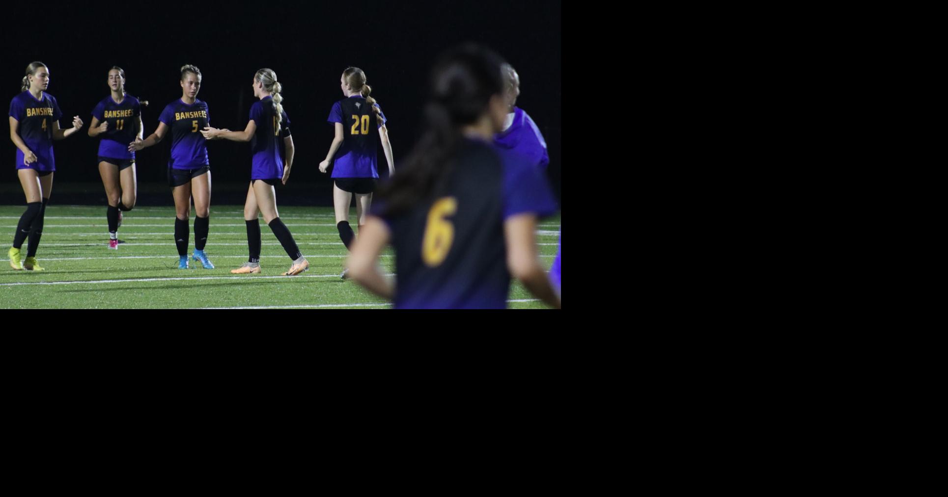 Banshees rally past Tigers for third straight district crown | Sports ...