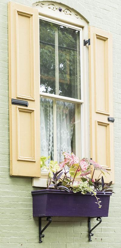 Changing shutter style can give your home a fresh look | Features | pmg ...