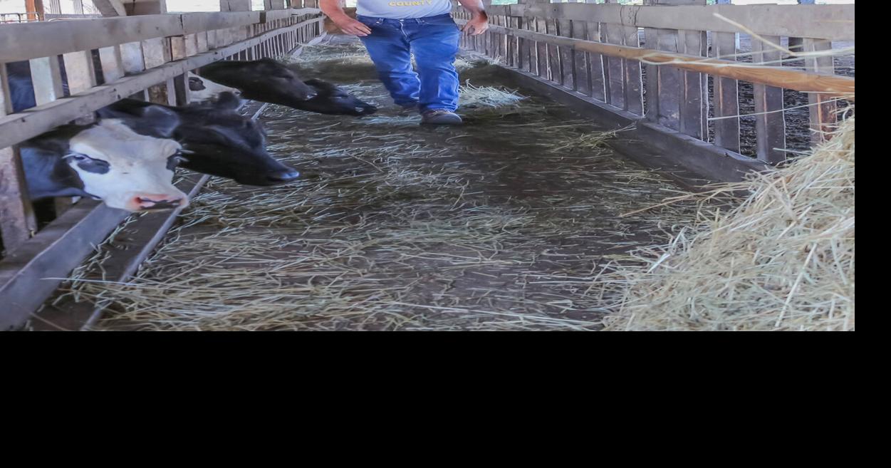 The Hay Man … and So Much More | Features | pmg-ky2.com