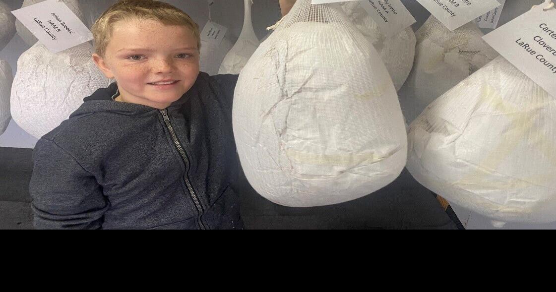 4-H Country Ham Project Remains Popular | Club | pmg-ky2.com