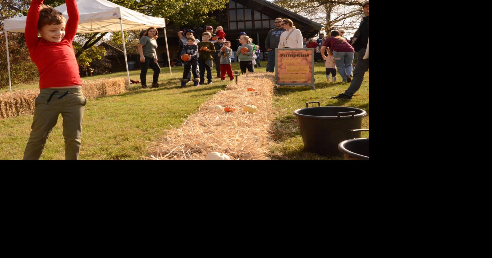 Experience the best of Fall at Bernheim | Features | pmg-ky2.com