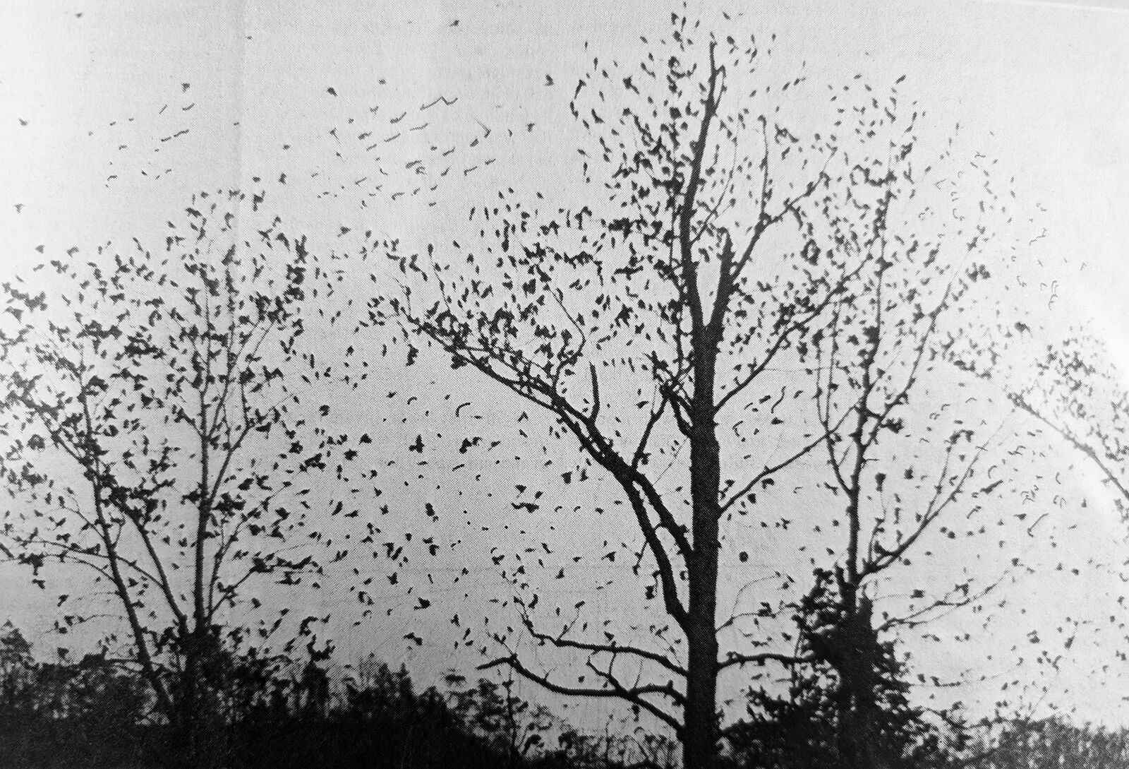 Casey County News | pmg-ky2.com