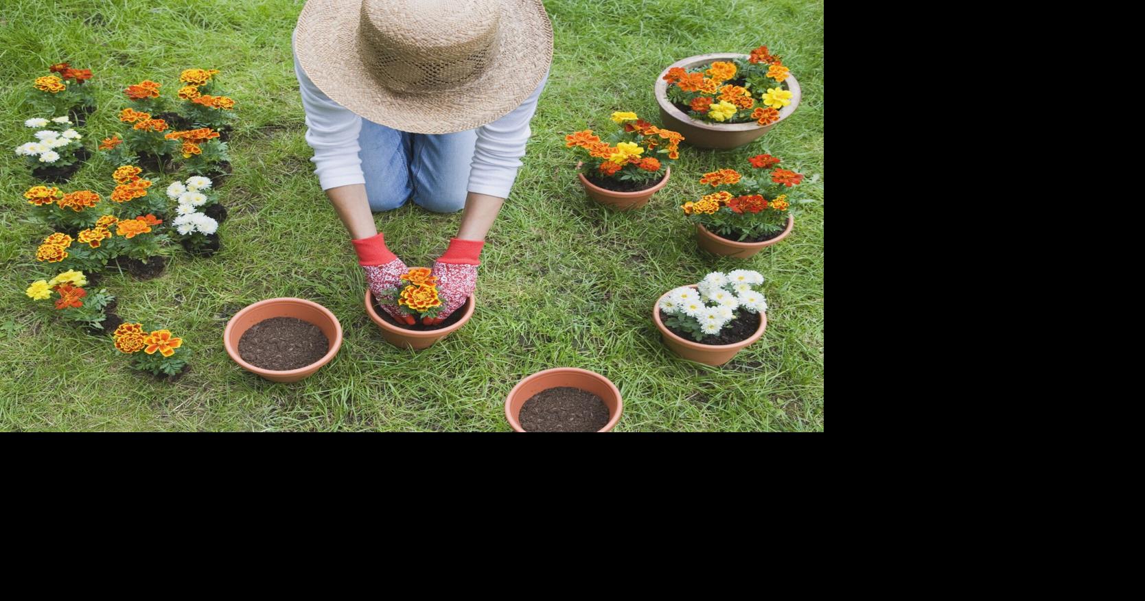 Container Gardening | Features | pmg-ky2.com