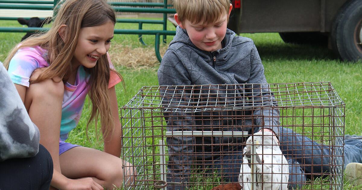FFA students present Farm Fun Day | News | pmg-ky2.com