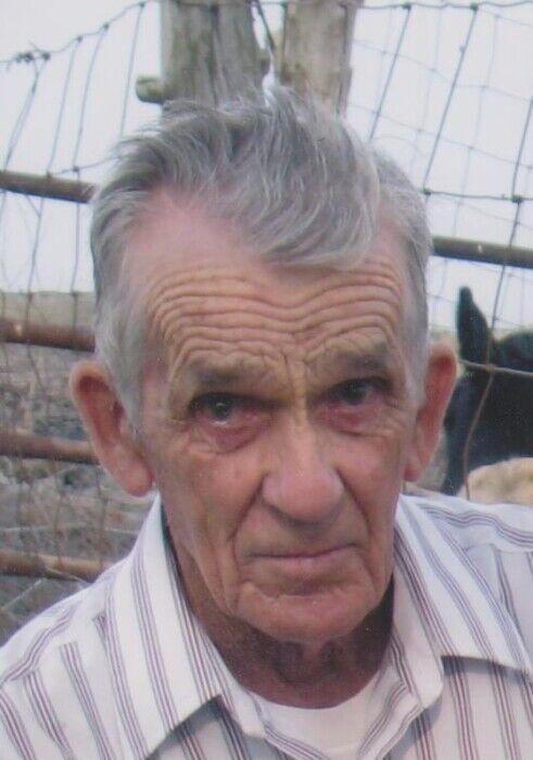 Joseph William “Joe Bill” Homan, 95 | Obituaries | pmg-ky2.com
