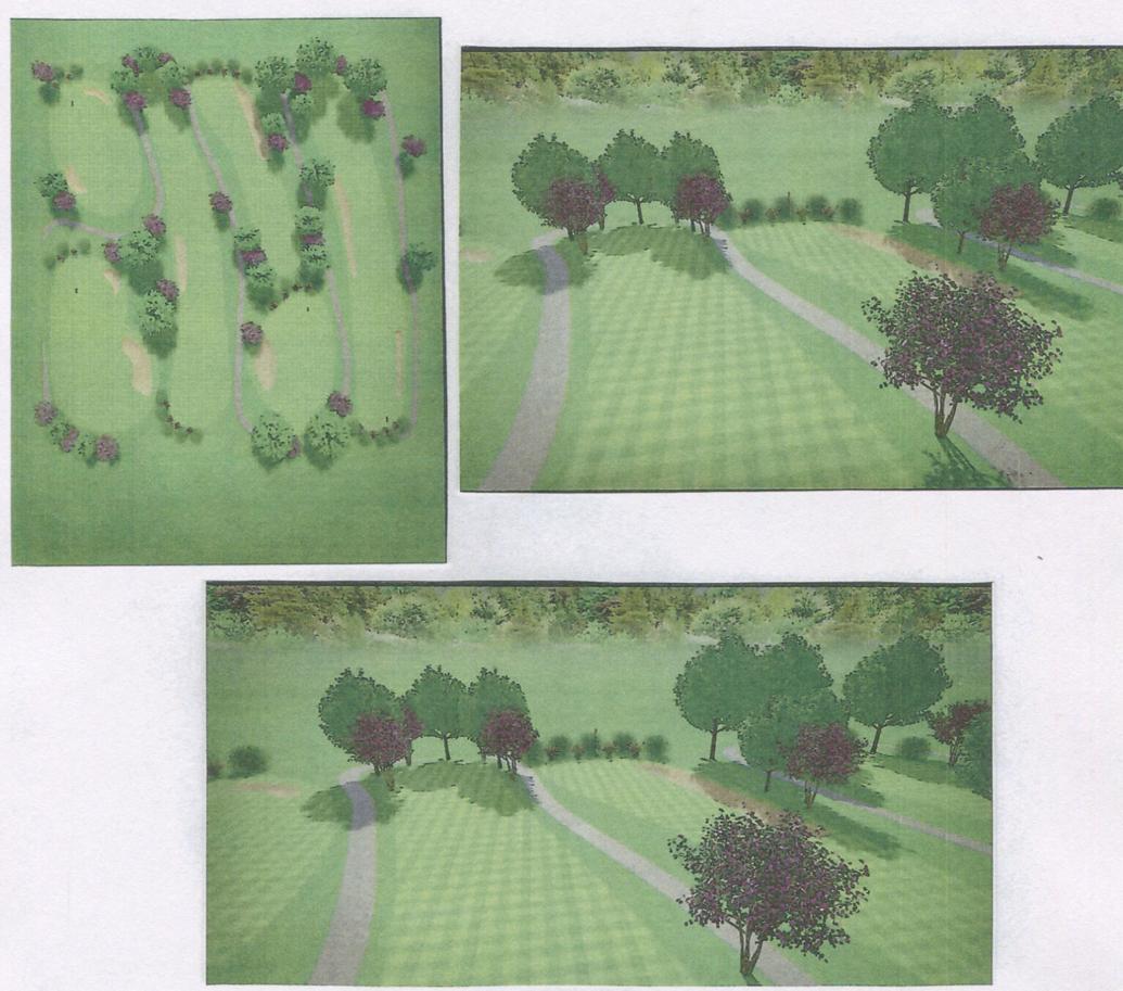 Council approves new Par 3 golf course | News | pmg-ky2.com