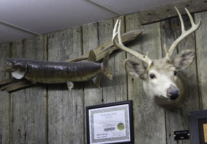 Buck and Doe celebrating 50 years of cutting hair | News | pmg-ky2.com