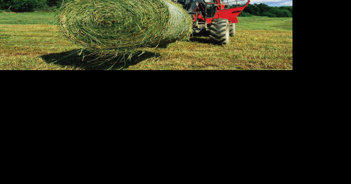 Baleage Basics | Agriculture | pmg-ky2.com