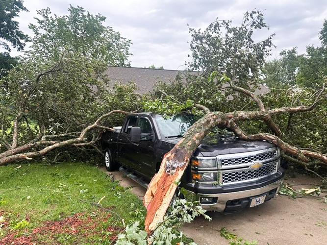 Storm leaves behind a trail of damage in Grant County | News | pmg-ky3.com