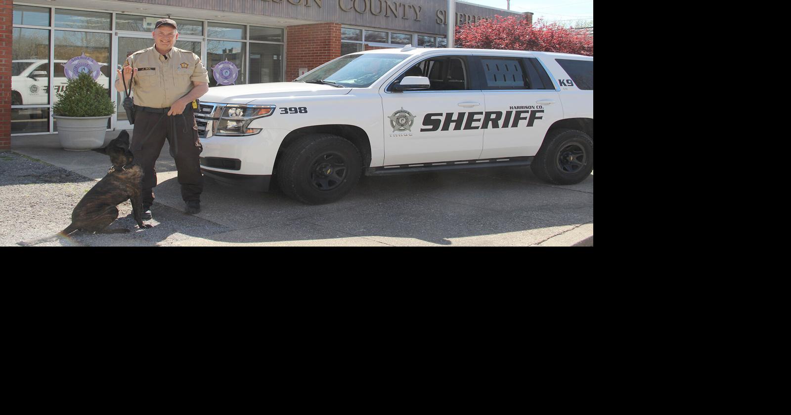 K9 Riley comes with proven resume | News | pmg-ky3.com