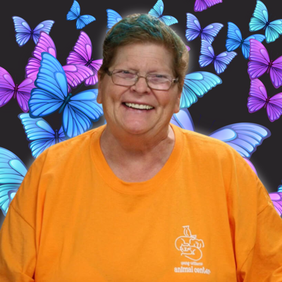 Sarah Susan Ammerman | | pmg-ky3.com