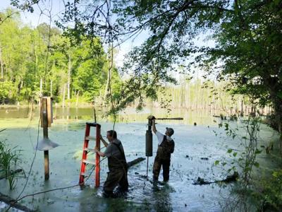 INVISTA earns habitat certification | Camden | pmg-sc.com