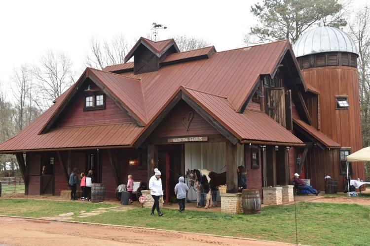 Hearts and horses: Valentine Stables opens doors to public | The News ...