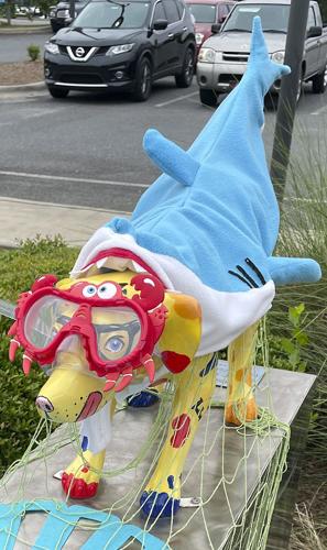 ‘Oceans of Possibilities’ at library this summer | Features | pmg-sc.com