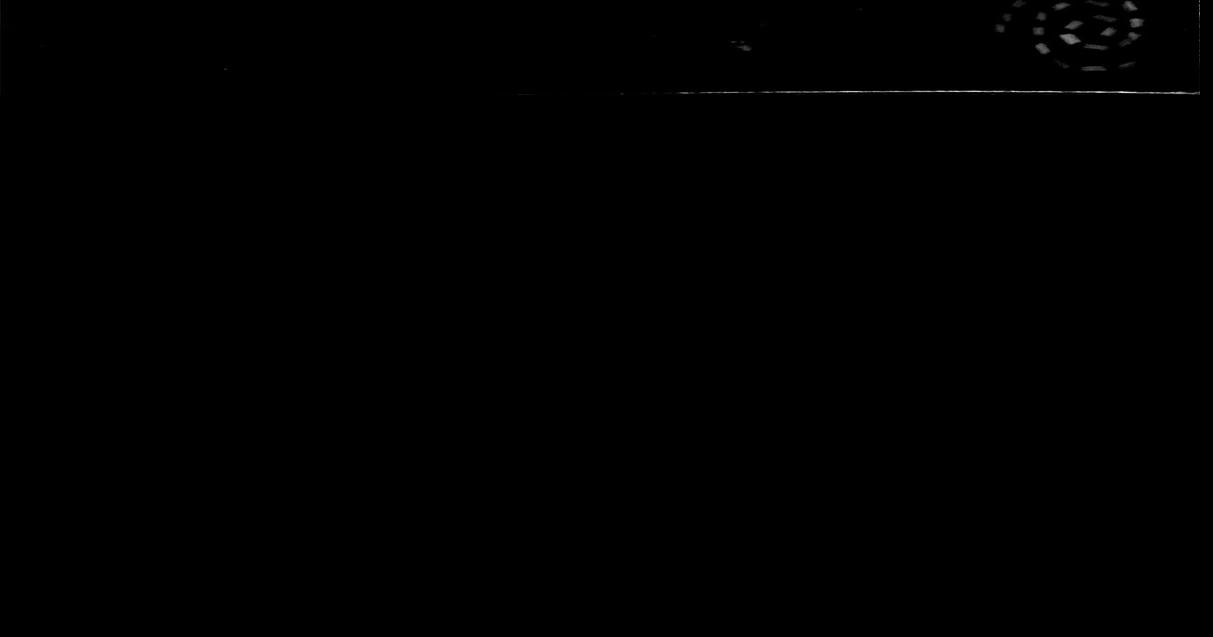 Sylvia Dianna Perry Hegler, 77 | The Lancaster News | pmg-sc.com