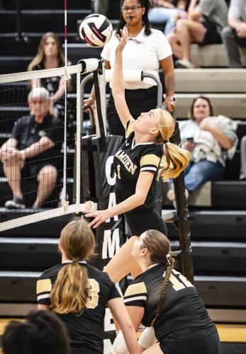 A.C. Flora hands Lady Dogs first region setback | Camden | pmg-sc.com
