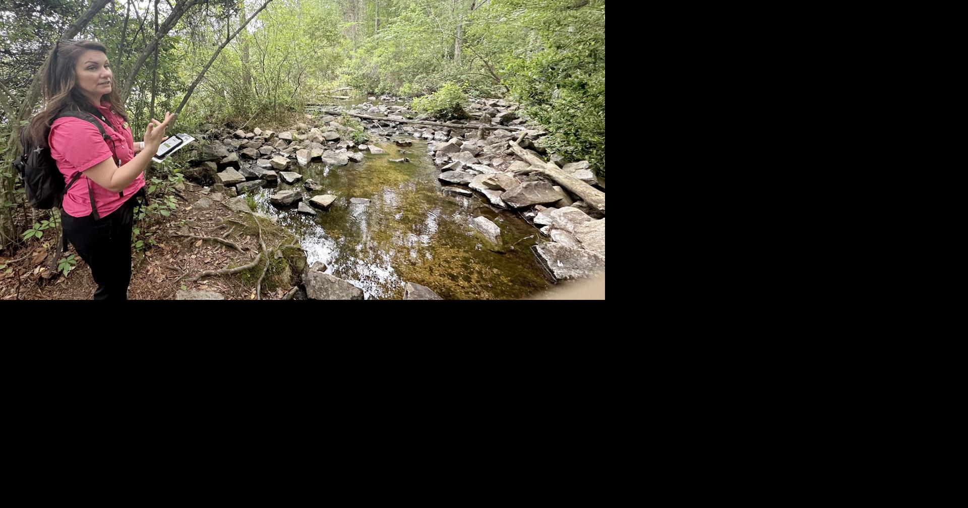 Family Fun at Goodale | Camden | pmg-sc.com