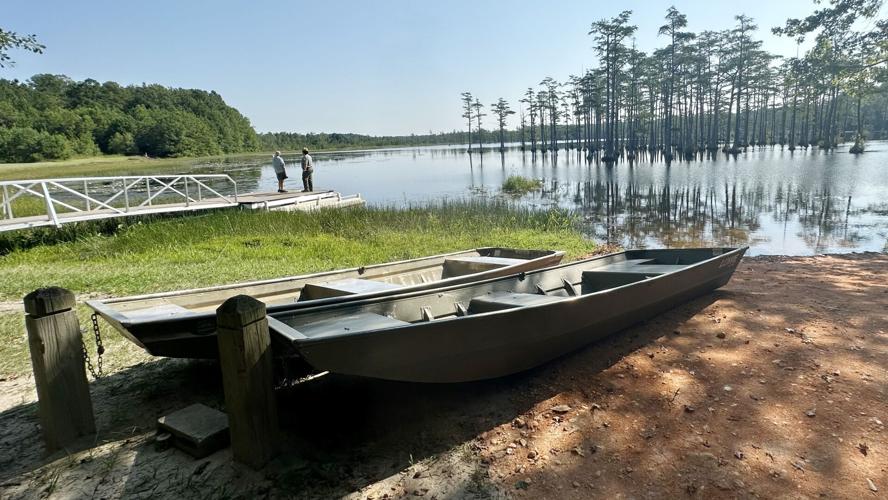 Spotlight on Goodale | Camden | pmg-sc.com