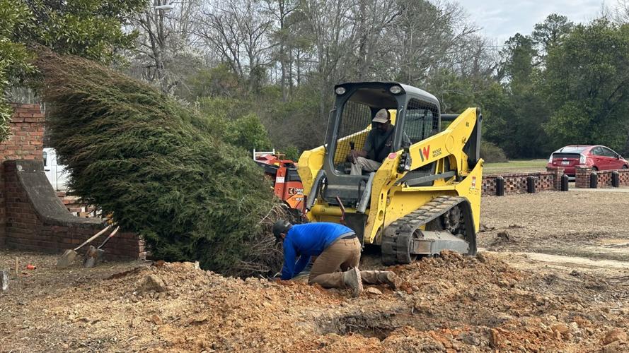 Quaker Cemetery undergoes transformation with $100,000 gift | Camden ...