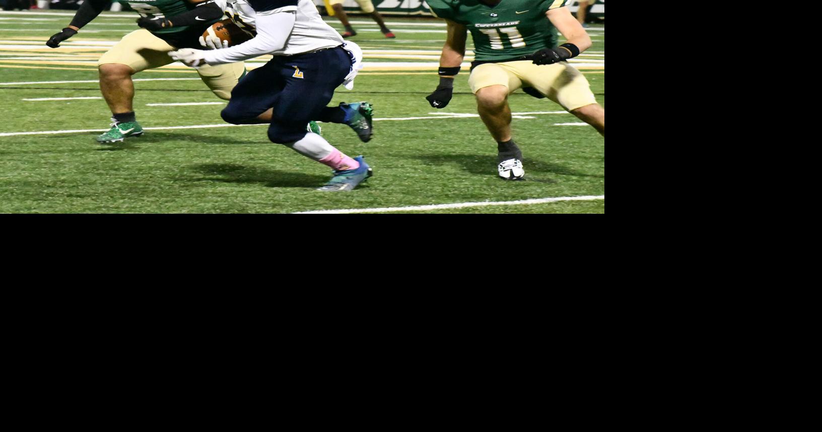 Lancaster 'snake bit' by Catawba Ridge in loss | The Lancaster News ...