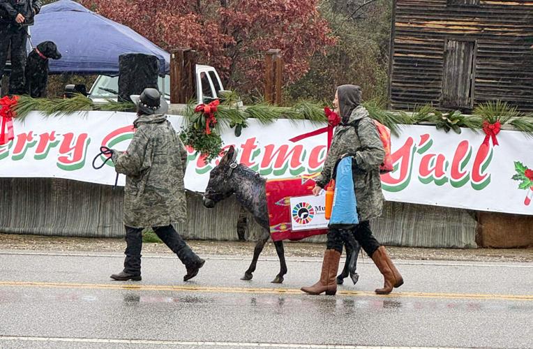 Christmas parades and lights, 2023 | Camden | pmg-sc.com