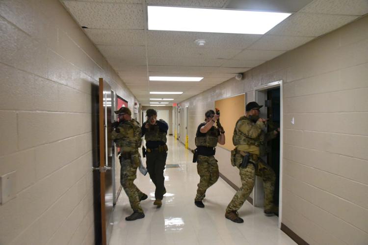 ‘Open door on the left!’ Simulated danger; real-life tactics: | The ...