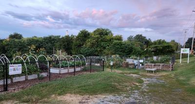 Spring classes at Bedford Urban Gardens | News | pmg-va.com