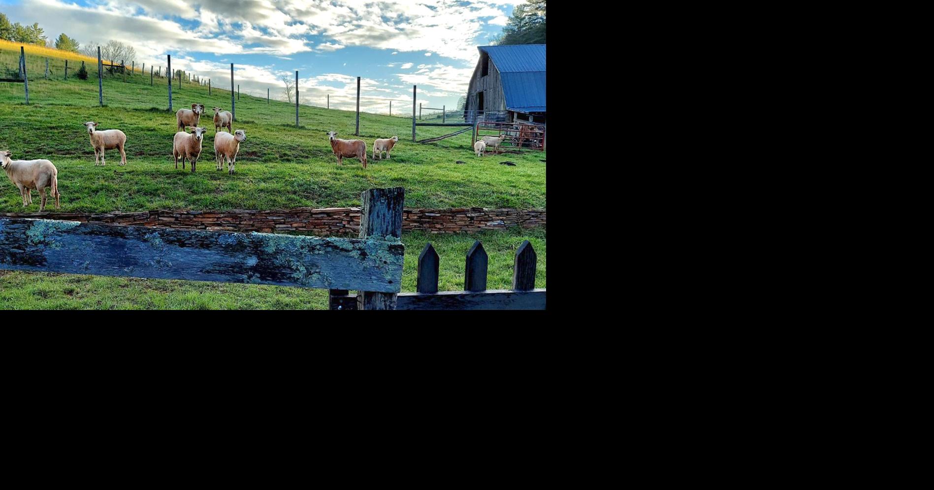 Farm museum opens for season | News | pmg-va.com