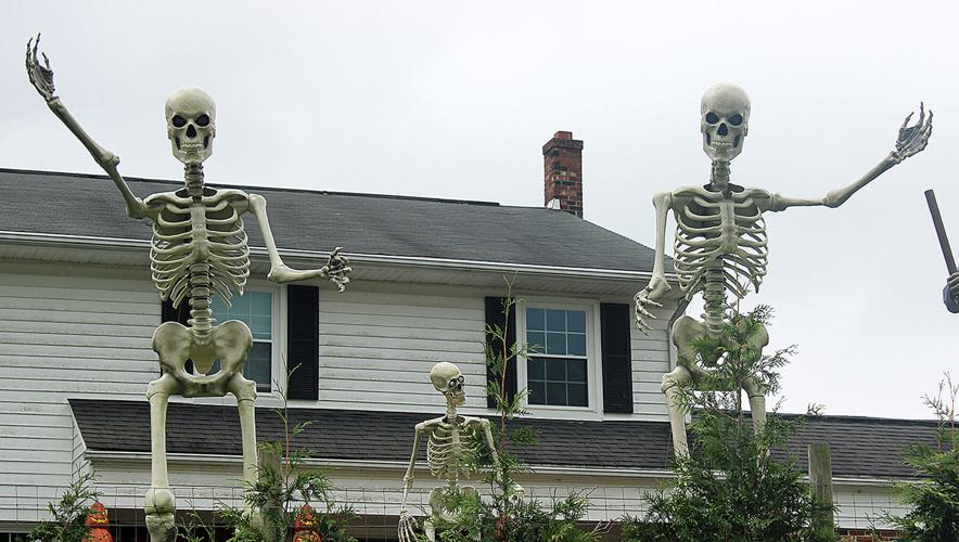 Giant monsters menace Galax | News | pmg-va.com