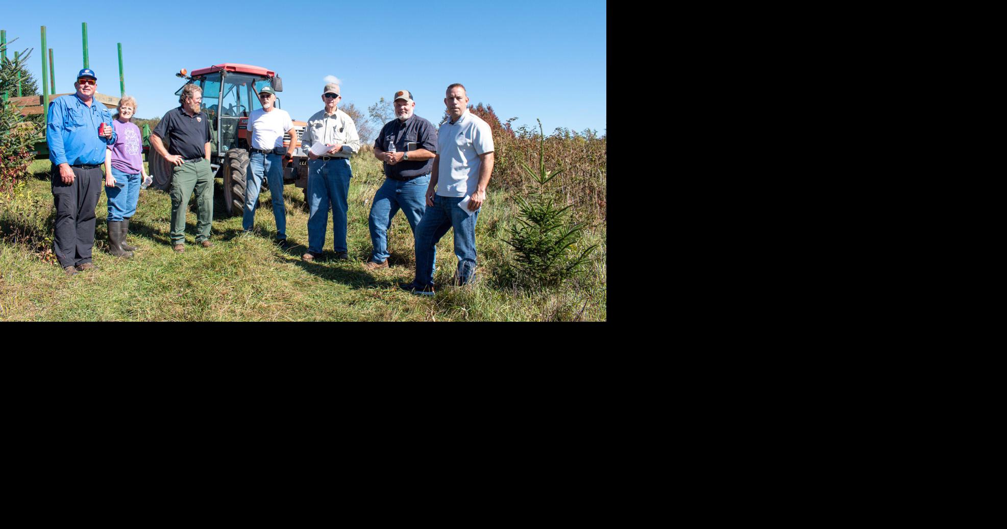 Sustainable tree farming is possible | Opinion | pmg-va.com