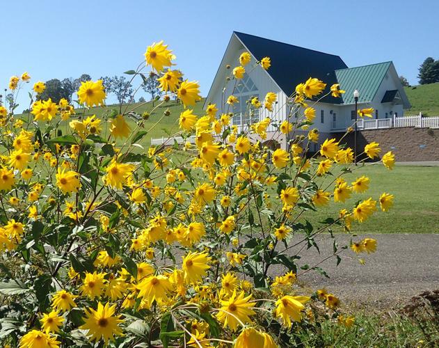 Grayson LandCare field trip includes cookout, plant sale and tour ...
