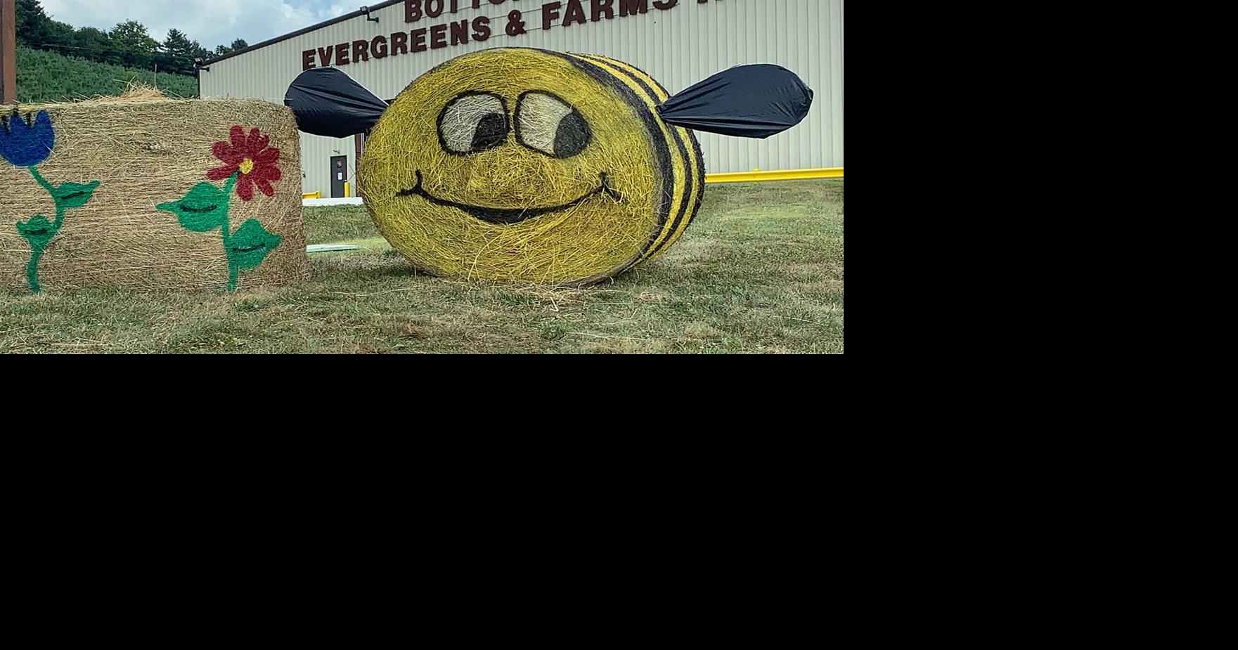 Grayson LandCare sponsors hay bale contest | News | pmg-va.com