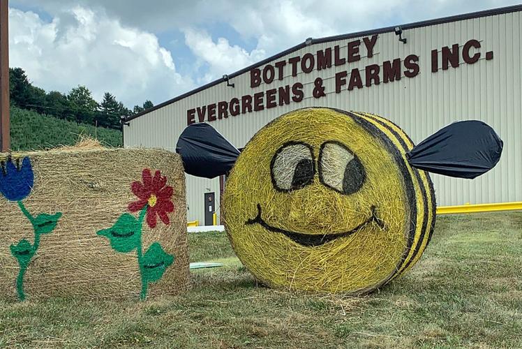 Grayson LandCare sponsors hay bale contest | News | pmg-va.com