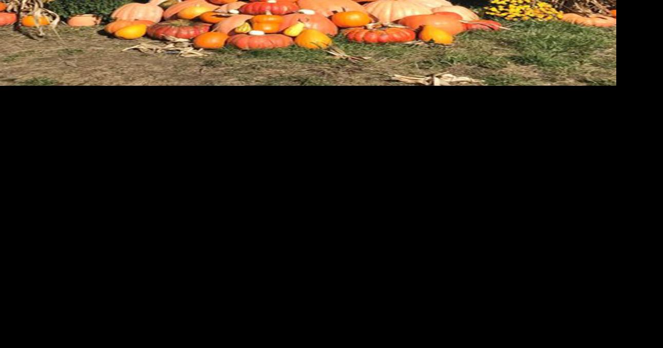 Grayson LandCare sponsors hay bale contest to promote fair | News | pmg ...