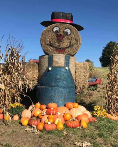 Grayson LandCare sponsors hay bale contest to promote fair | News | pmg ...