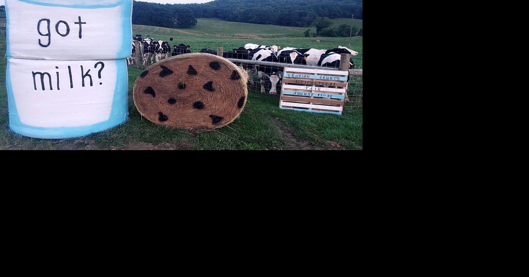 Grayson group wins Farm Bureau hay bale contest | News | pmg-va.com