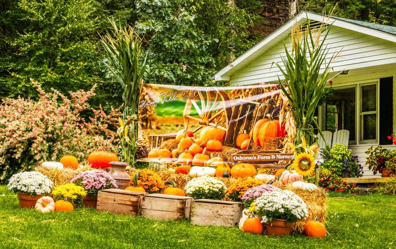Tour features Grayson's growers and creators | News | pmg-va.com