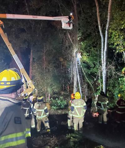 Firefighters, citizens rescue man stuck in tree | News | pmg-va.com