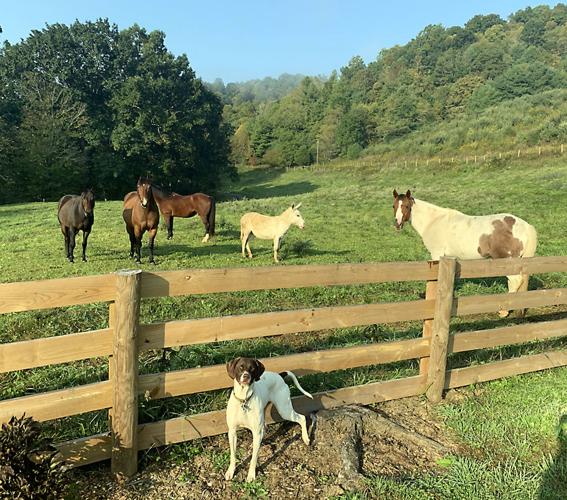 Grayson tour ends in Western highlands | News | pmg-va.com