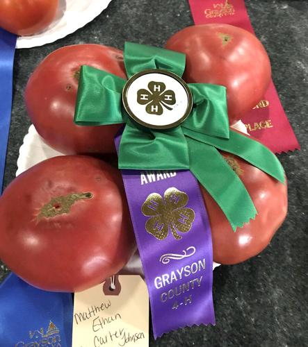 How to create a winning entry for county fair | News | pmg-va.com