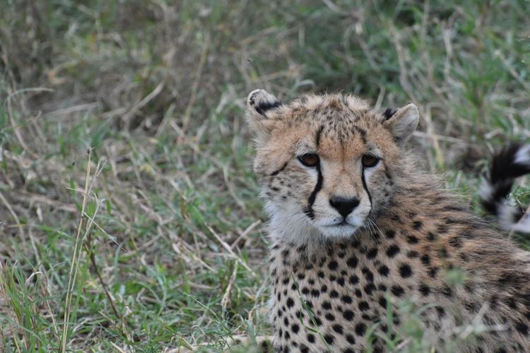 A heart for Tanzania | News | pmg-va.com