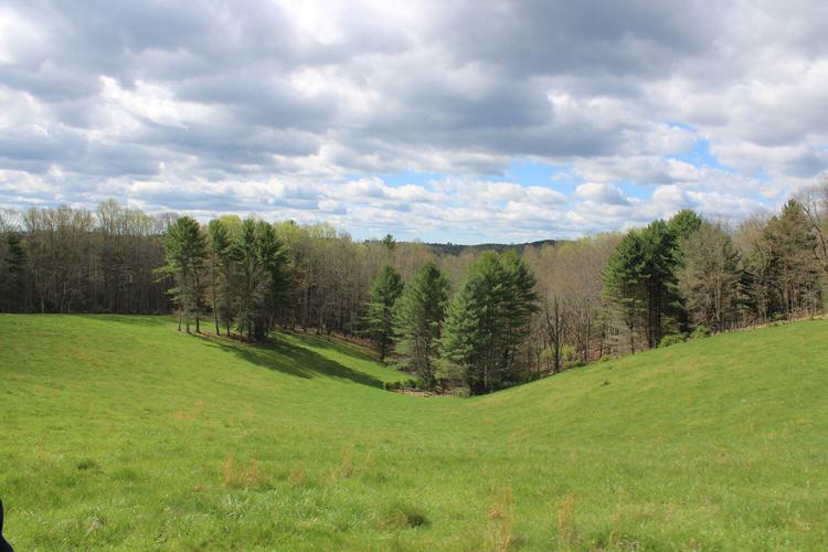 New River Farm & Forest holds grand opening | News | pmg-va.com