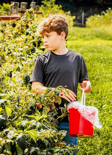 Grayson introduces artists and farmers for Ag & Art Adventure | News ...