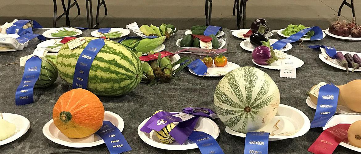 How to create a winning entry for county fair | News | pmg-va.com