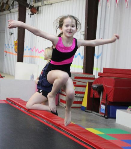 Galax gymnasts head for state competition | News | pmg-va.com