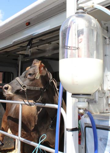 Mobile dairy classroom visits Grayson schools | News | pmg-va.com