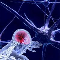 Neuroscience Offers Clues To The Succes Of Joe Rogan And Alex Cooper’s ...